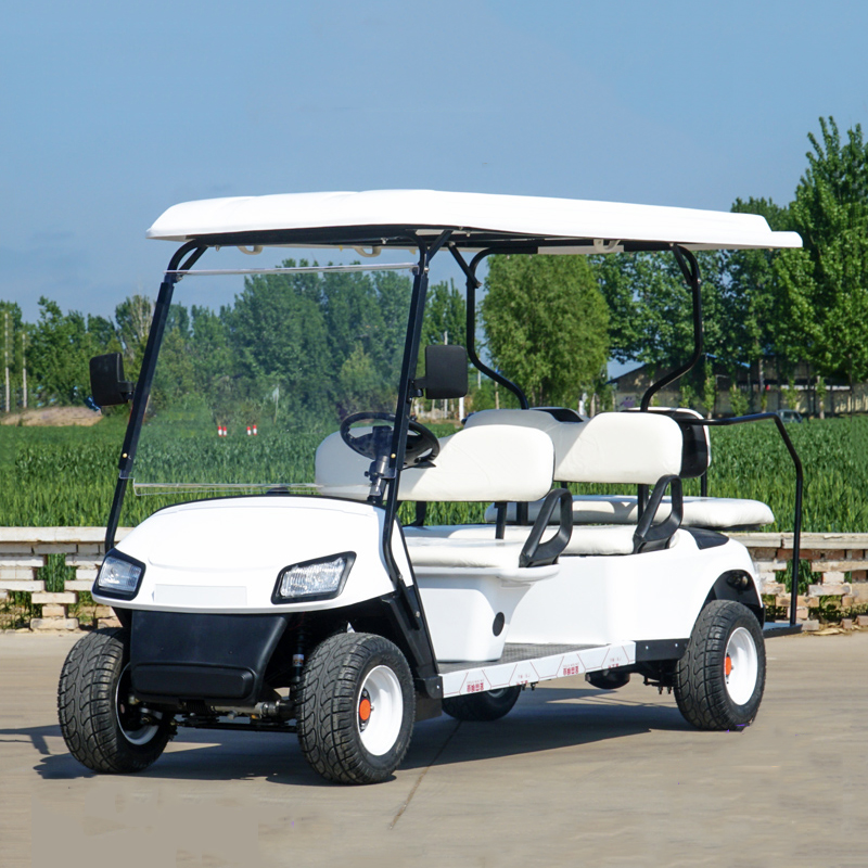 Custom Golf Cart Manufacturer No MOQ for Custom