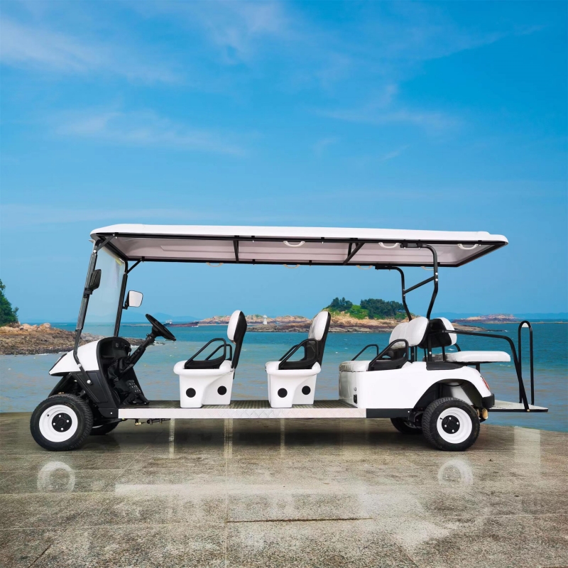 Custom Golf Cart Manufacturer No MOQ for Custom