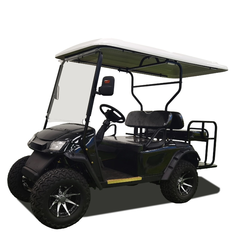 QS-A model A golf cart 2/4/6/8/10 seat can be custom - Qsen ELectric ...